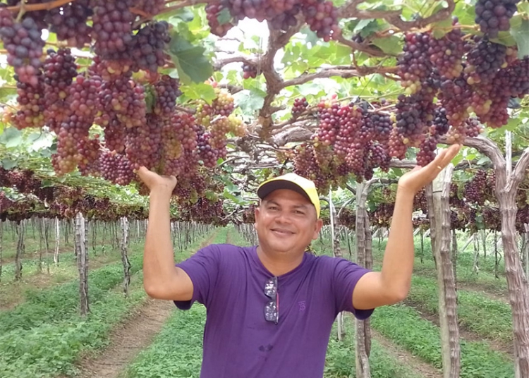 Agro World - Plataforma Mundial do Agronegócio